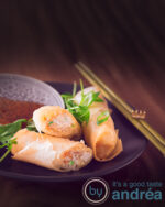 Zelf Loempia met Kip Maken - By Andrea Janssen