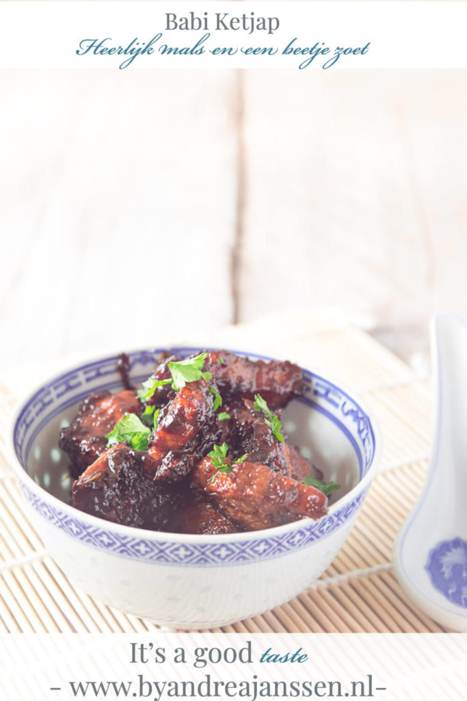 Babi Ketjap | By Andrea Janssen