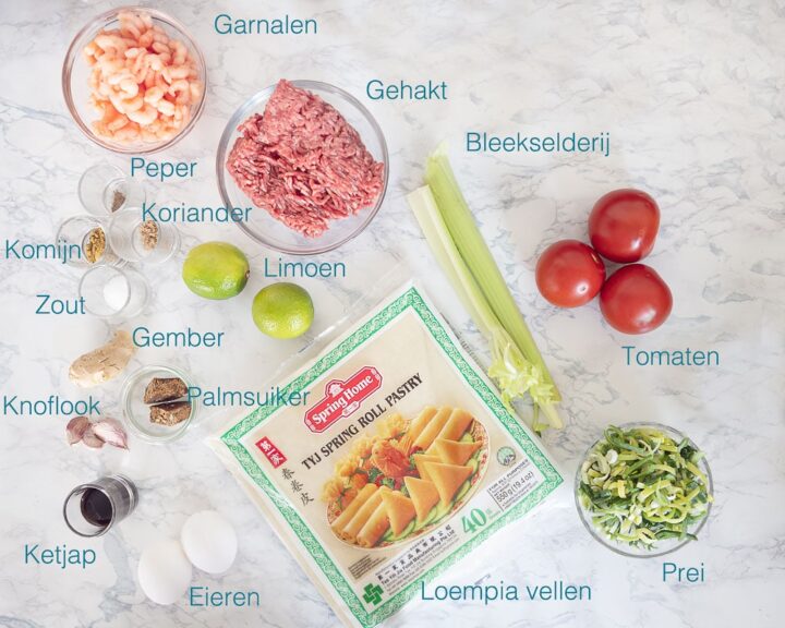 Mini Loempia's {Frituur en Airfryer recept} - By Andrea Janssen